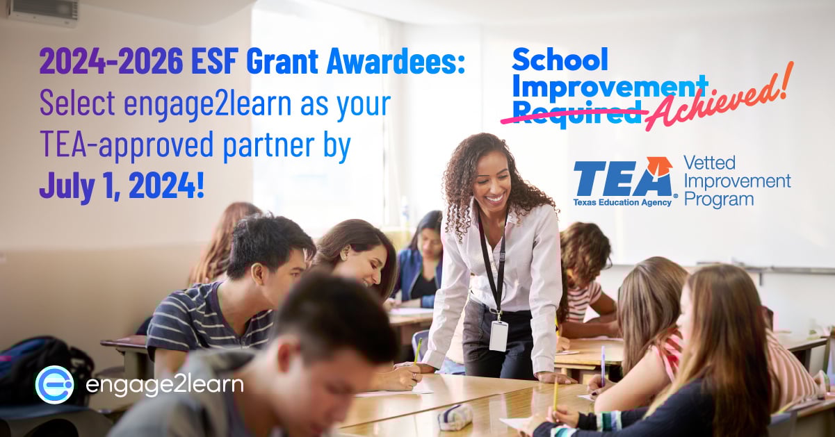 TEA Vetted Improvement Program | Targeted School Improvement for Texas ...