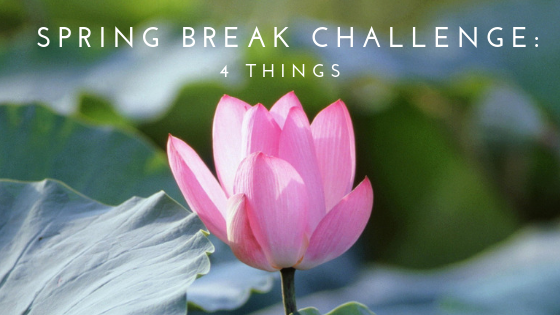 Spring Break Challenge: 4 Things | engage2learn